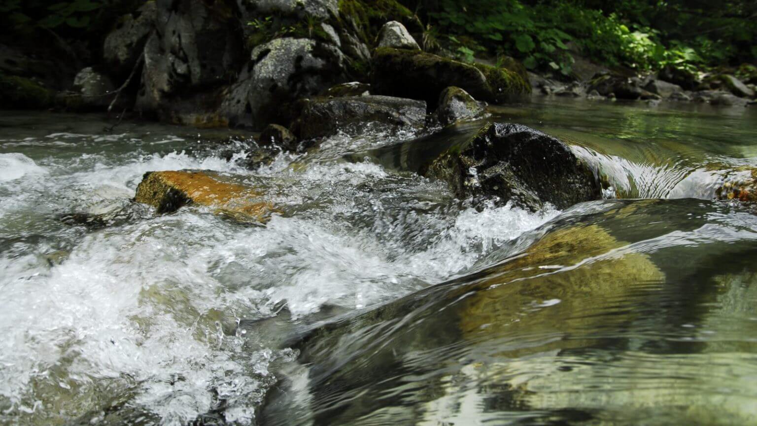 Goldwaschen in der Schweiz - Ein Erlebnis für Jung und Alt